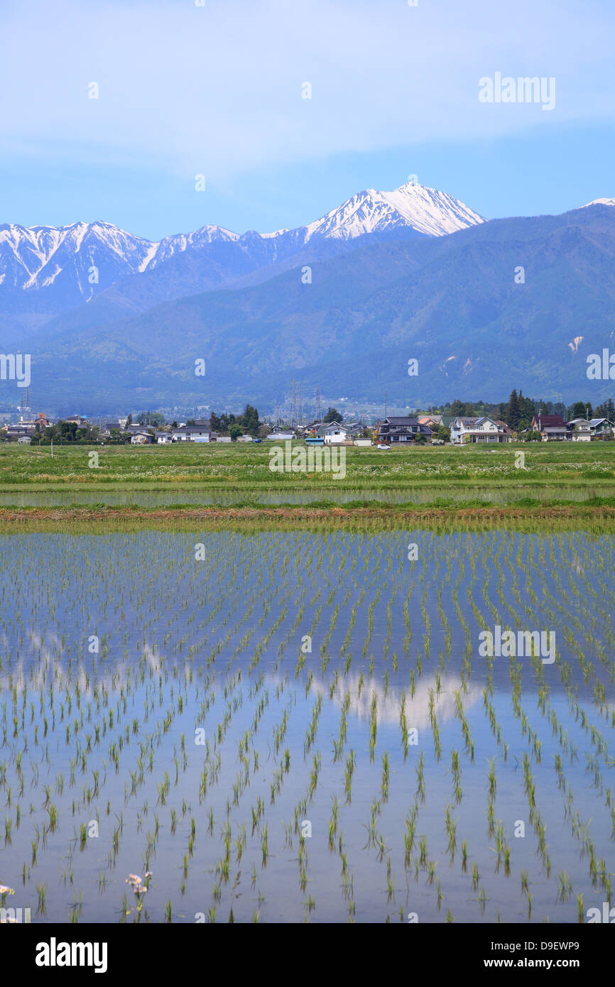 The Japan Alps and paddy field in Azumino city, Nagano, Japan Stock ...