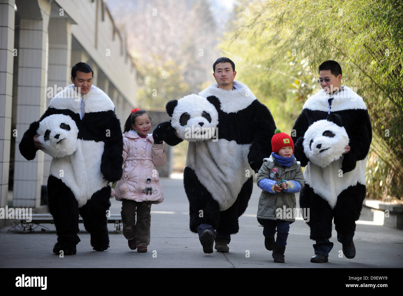 Captive Panda Research Researchers dressed as pandas look after a ...