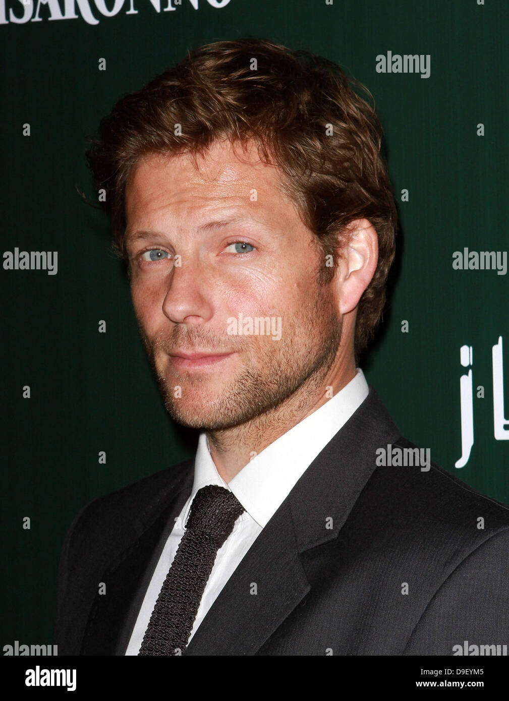 Jamie Bamber 13th Annual Costume Designers Guild Awards held at The ...