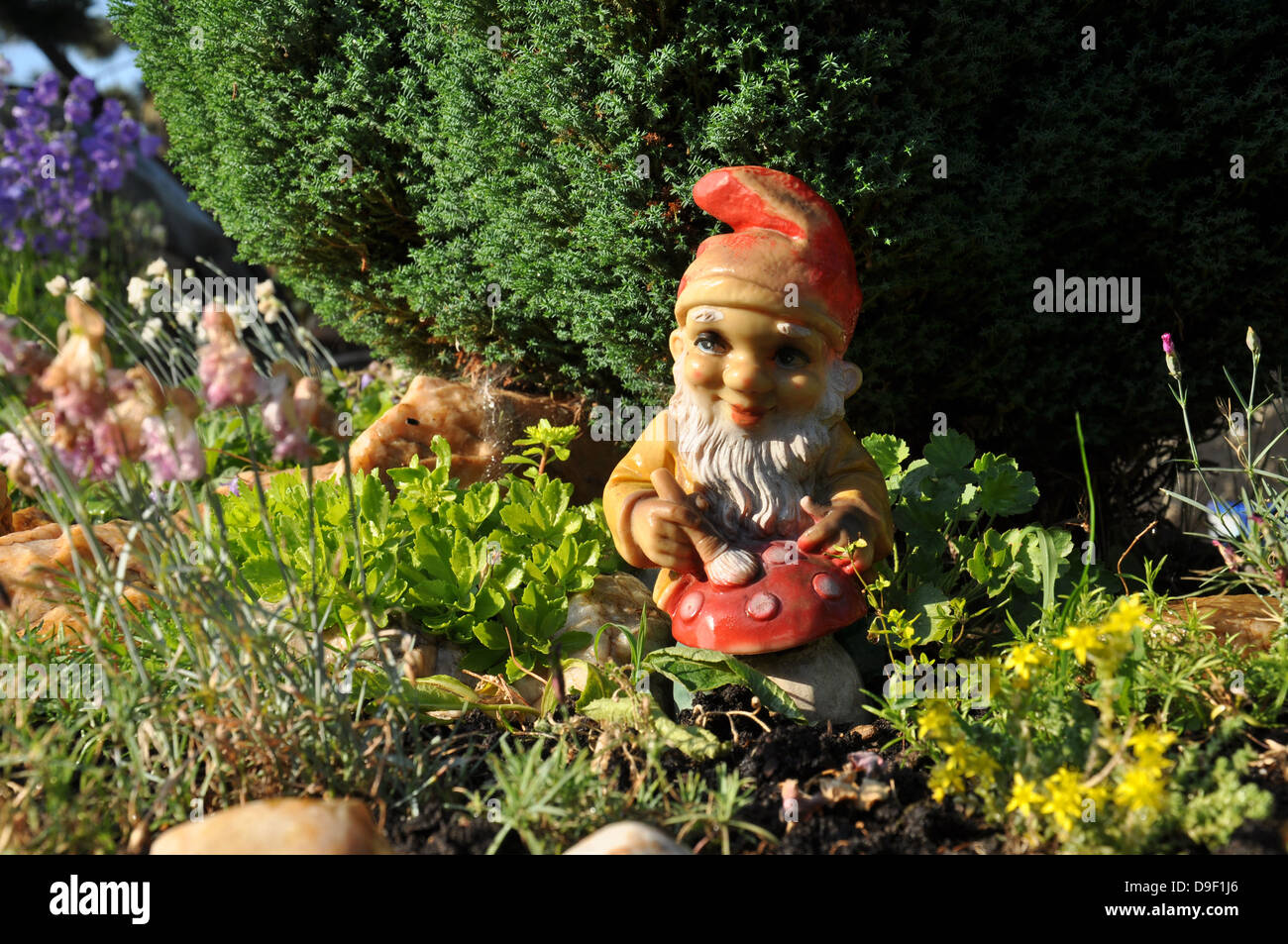 Elf dwarf hi-res stock photography and images - Alamy