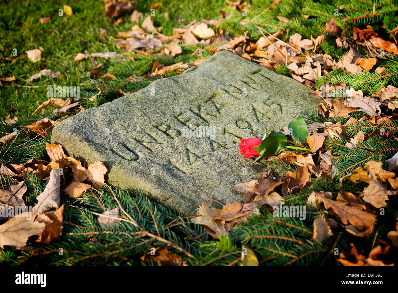 The grave of the unknown soldier tomb hi-res stock photography and ...