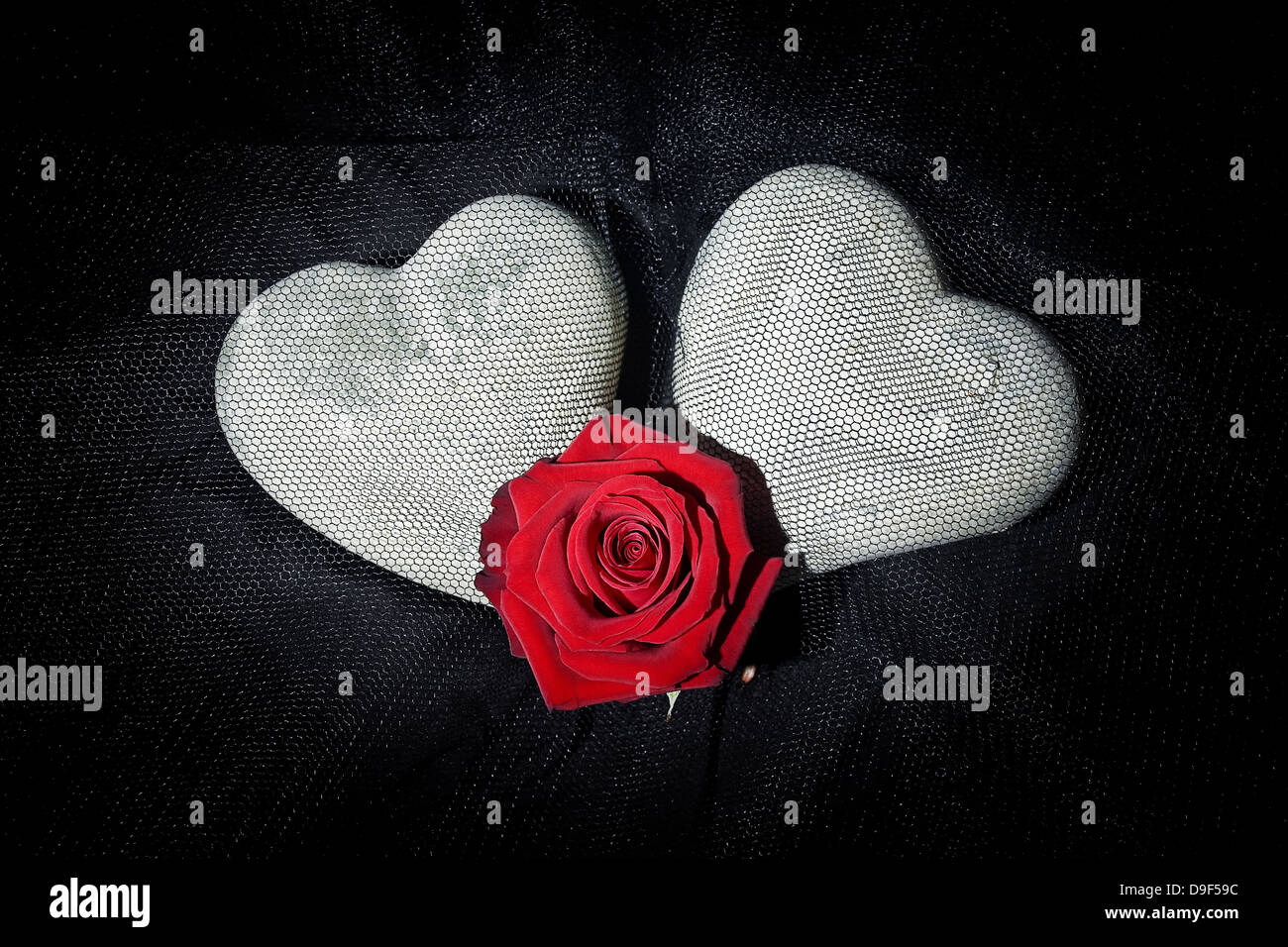 Two hearts with a red rose Two hearts with a red rose Stock Photo - Alamy