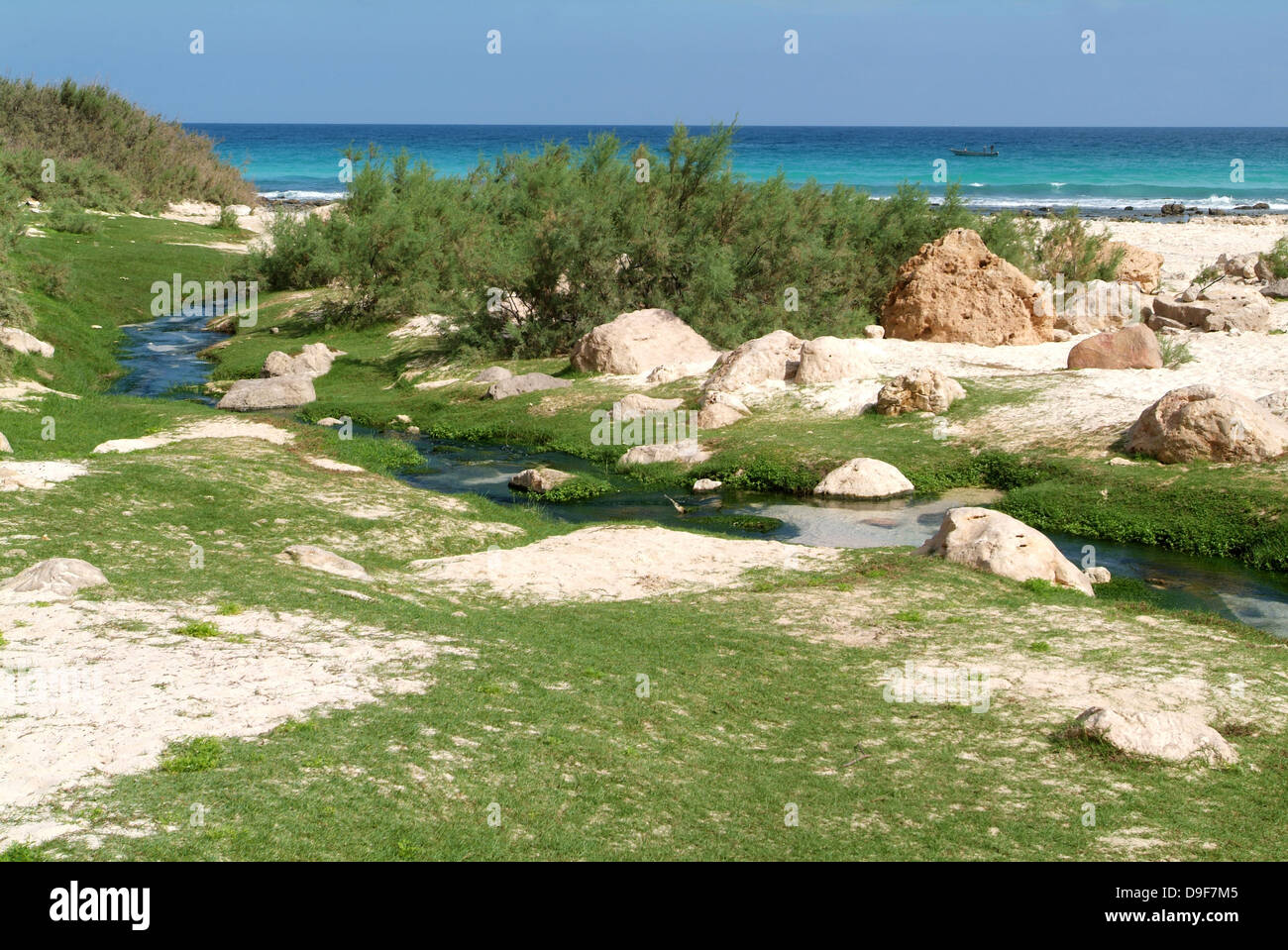 The beach of Arher on Socotra island, Yemen Stock Photo - Alamy