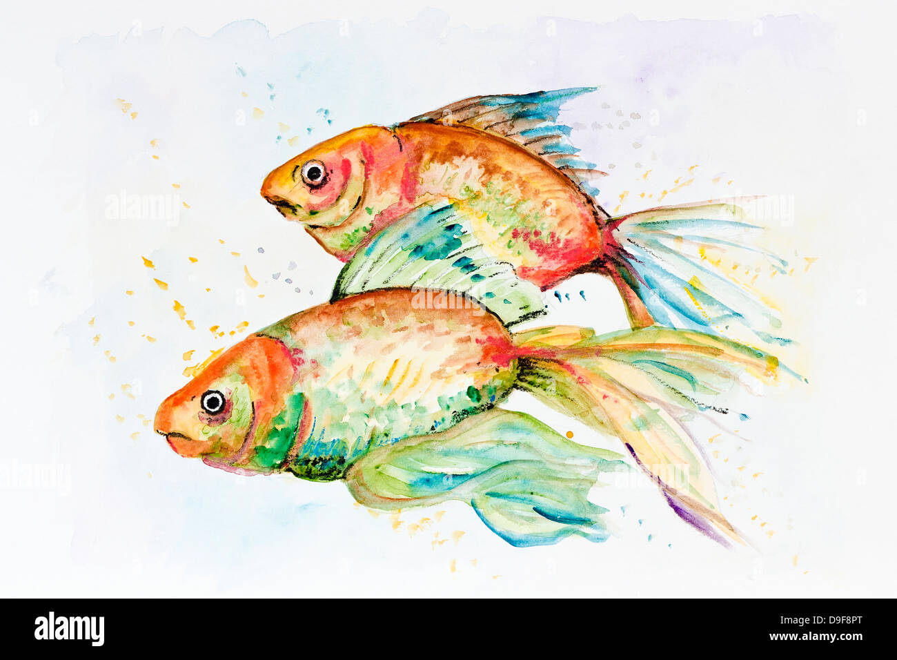 Two sad Goldfish swim in an aquarium. Handmade watercolor painting ...