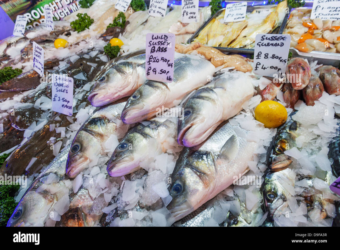 England, London, Southwark, Borough Market, Fish Stall Display of Sea ...
