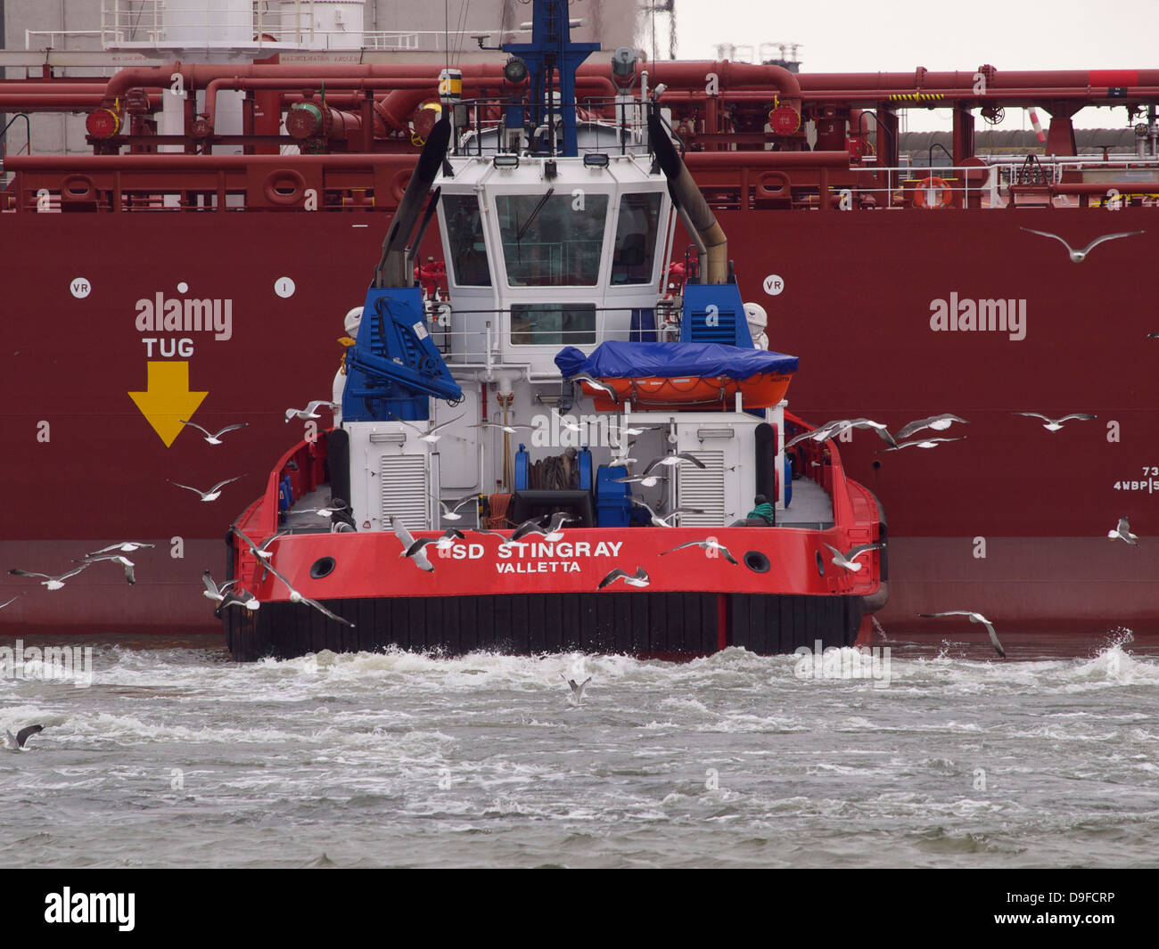 Tug boat moving a very large oil tanker ship in the port of Rotterdam ...