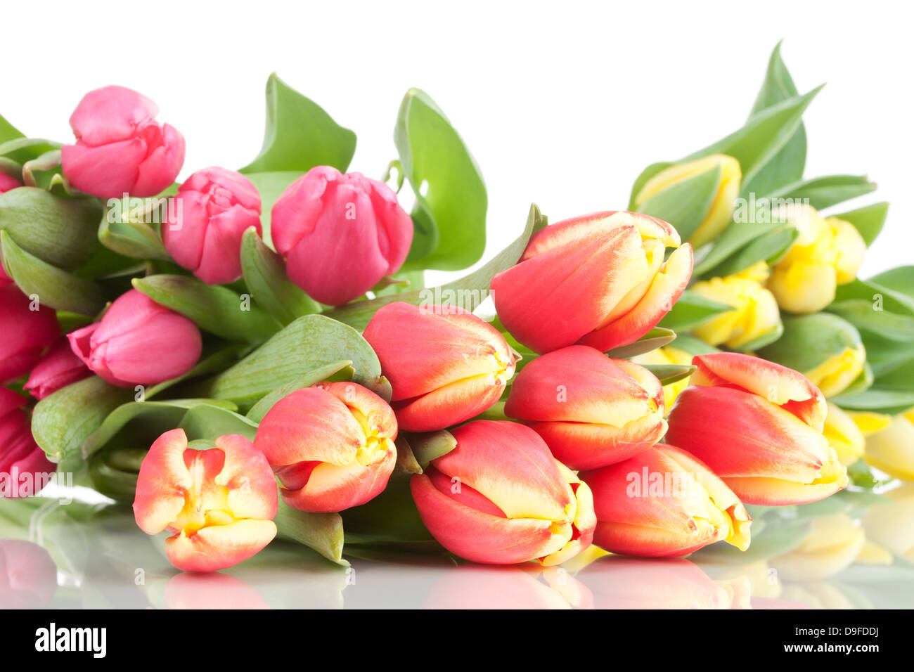 Different tulips Different tulips Stock Photo - Alamy