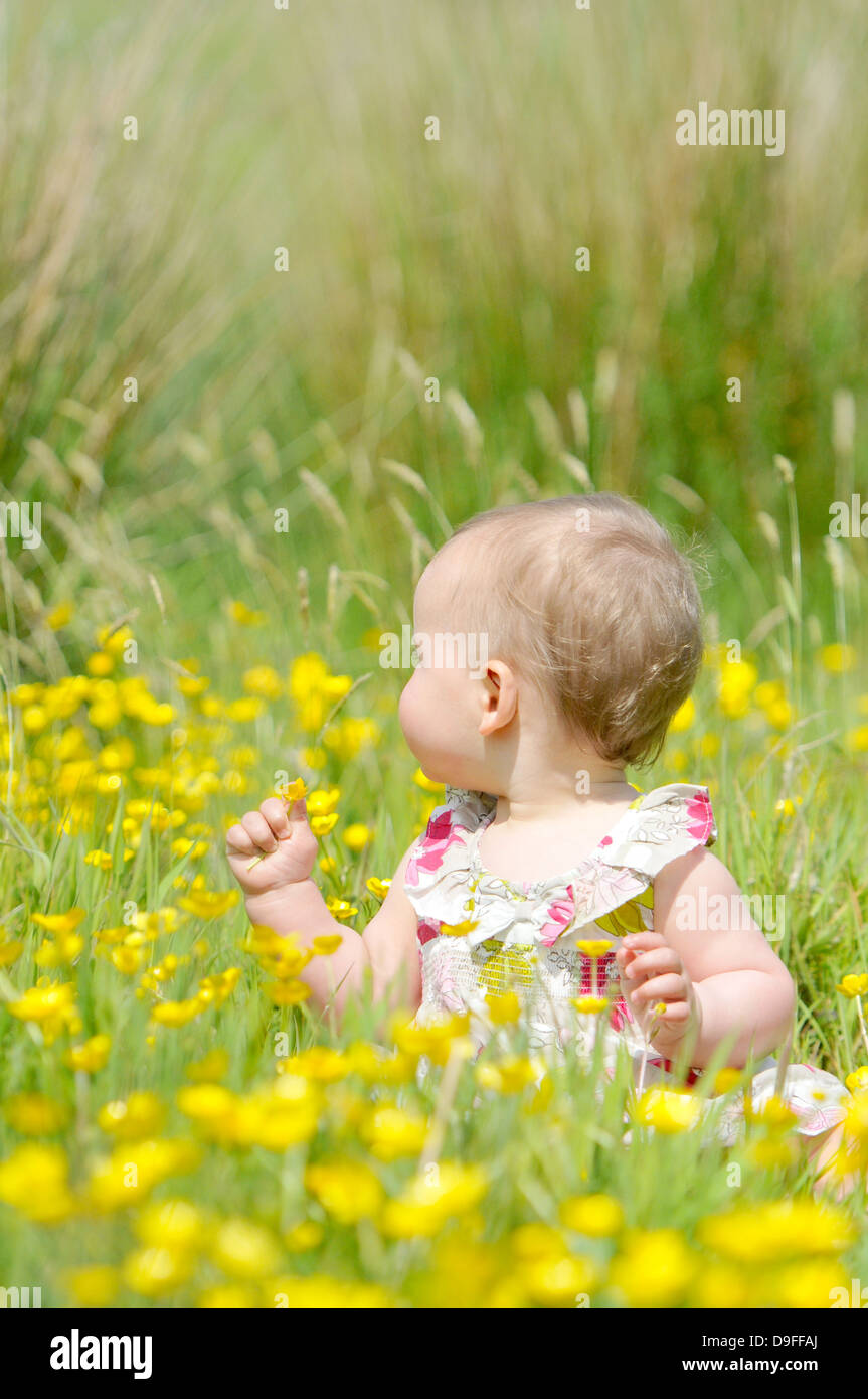 Baby sitting in field of buttercups Stock Photo - Alamy