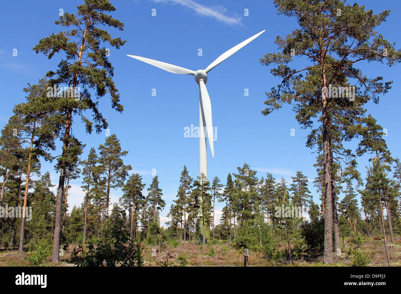 Wind turbine in pine forest near Hanko, Finland, on a bright day at ...