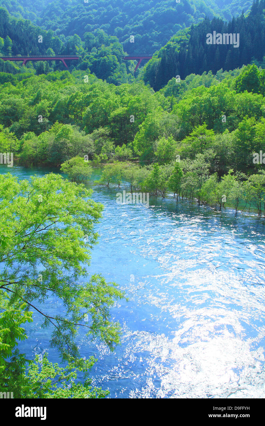 Tama river dam hi-res stock photography and images - Alamy