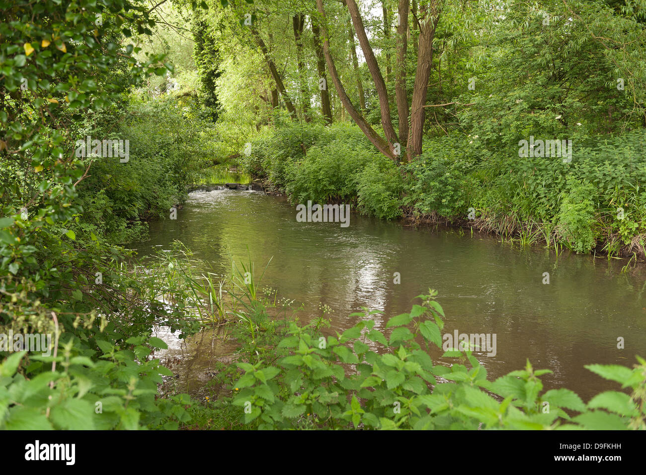broken down weir irrigation system on fresh water flowing river darent ...