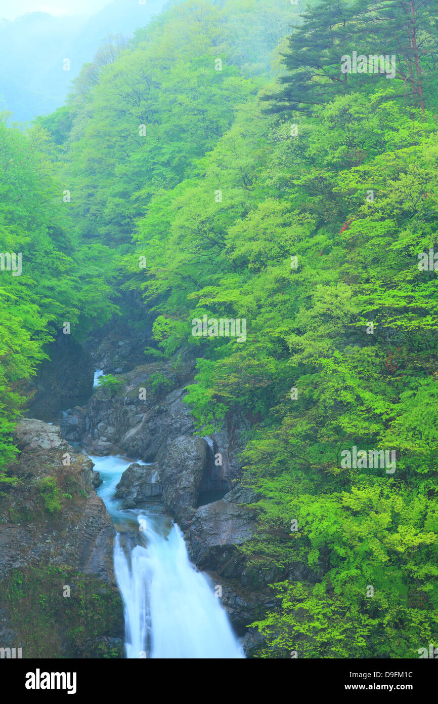Akiu falls, Miyagi Prefecture Stock Photo - Alamy