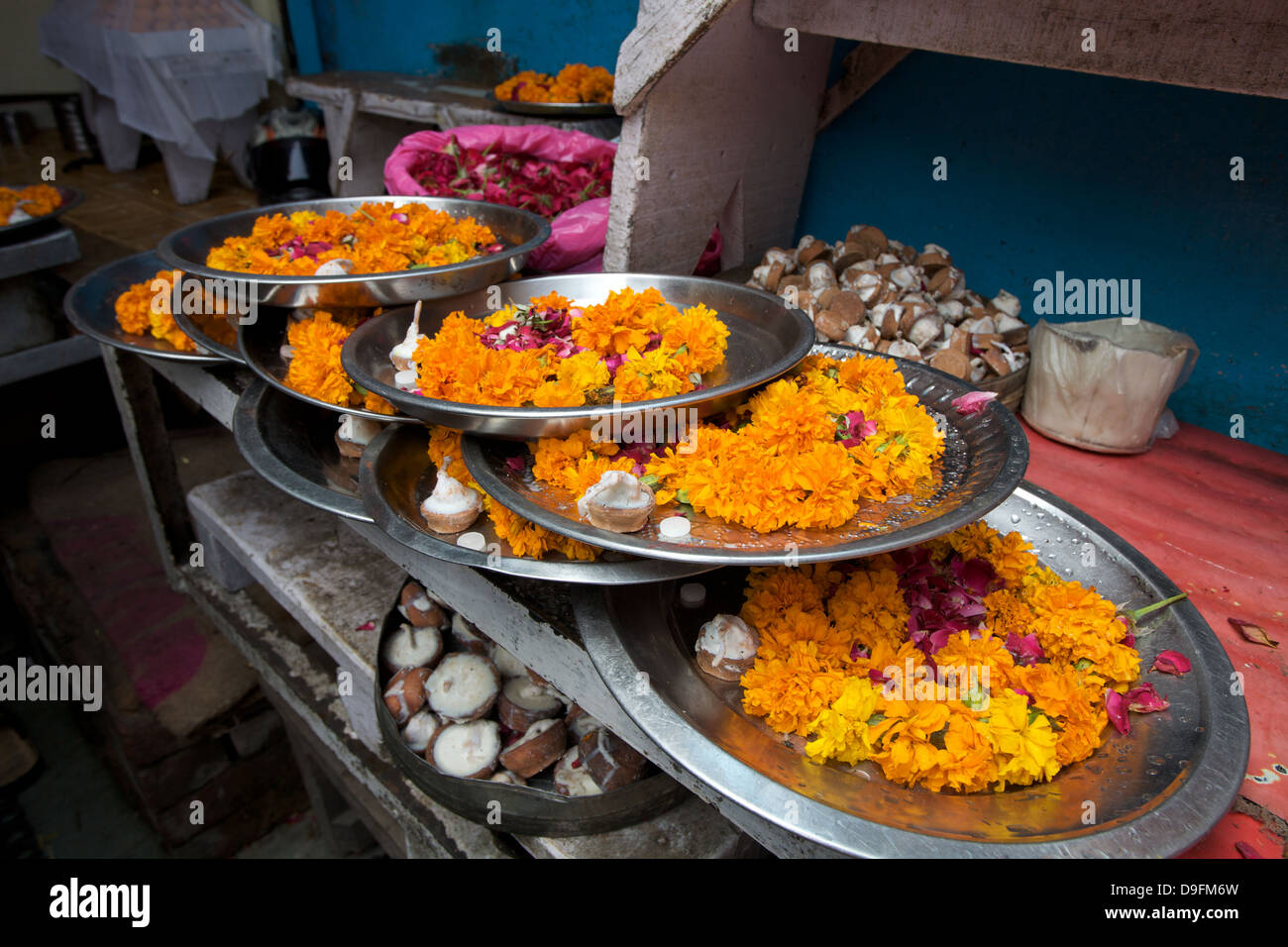 Indian traditional culture colorful garland from fresh orange marigold ...