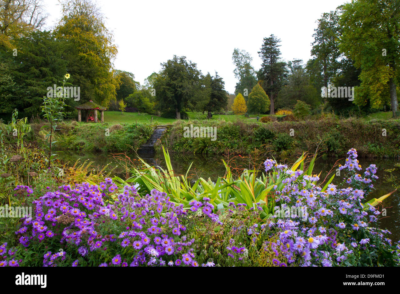 Beautiful country scene at autumn in England with a pond and rich ...