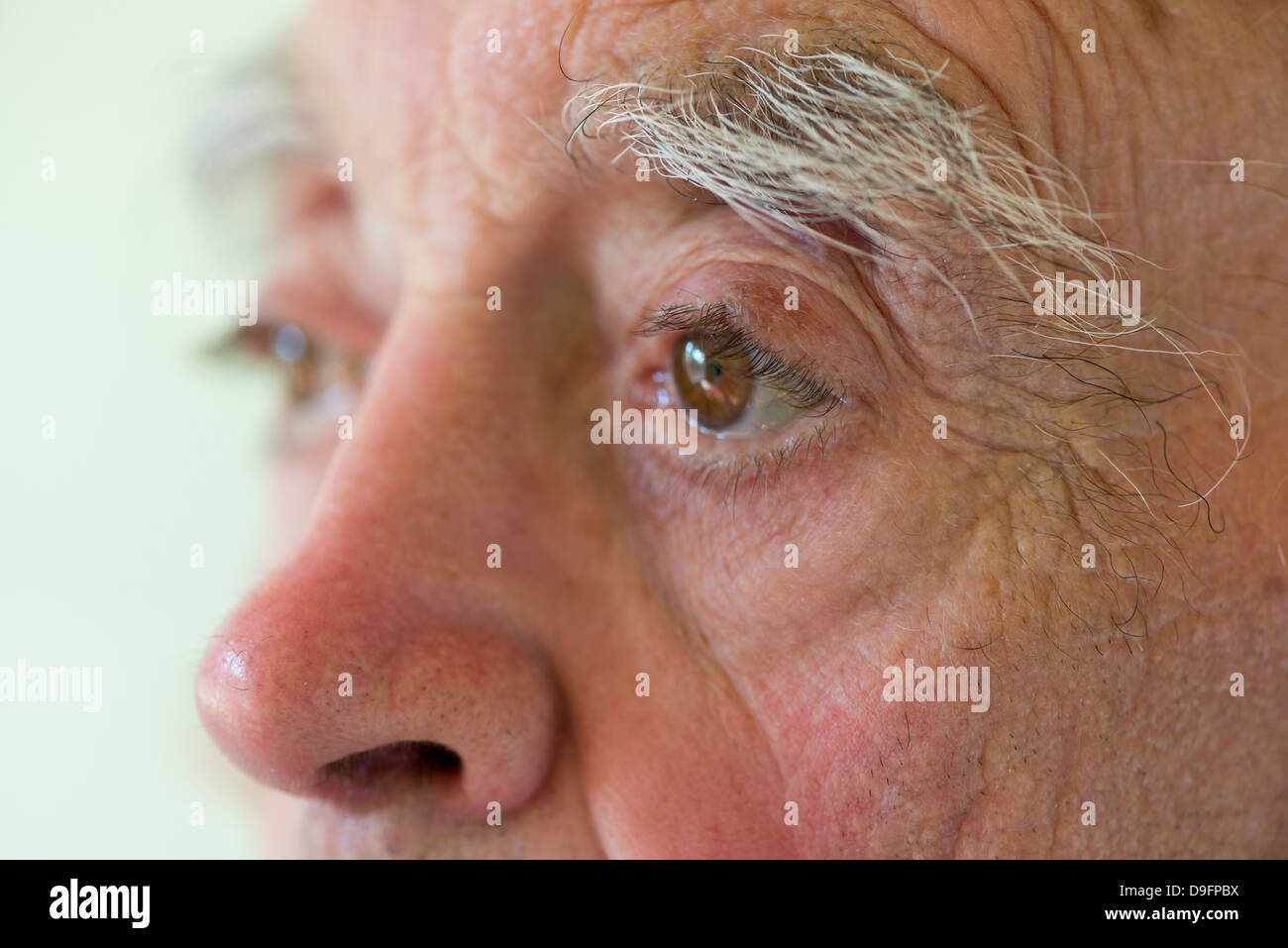 Thoughtful gaze of kind old man gentleman looking into the distance ...