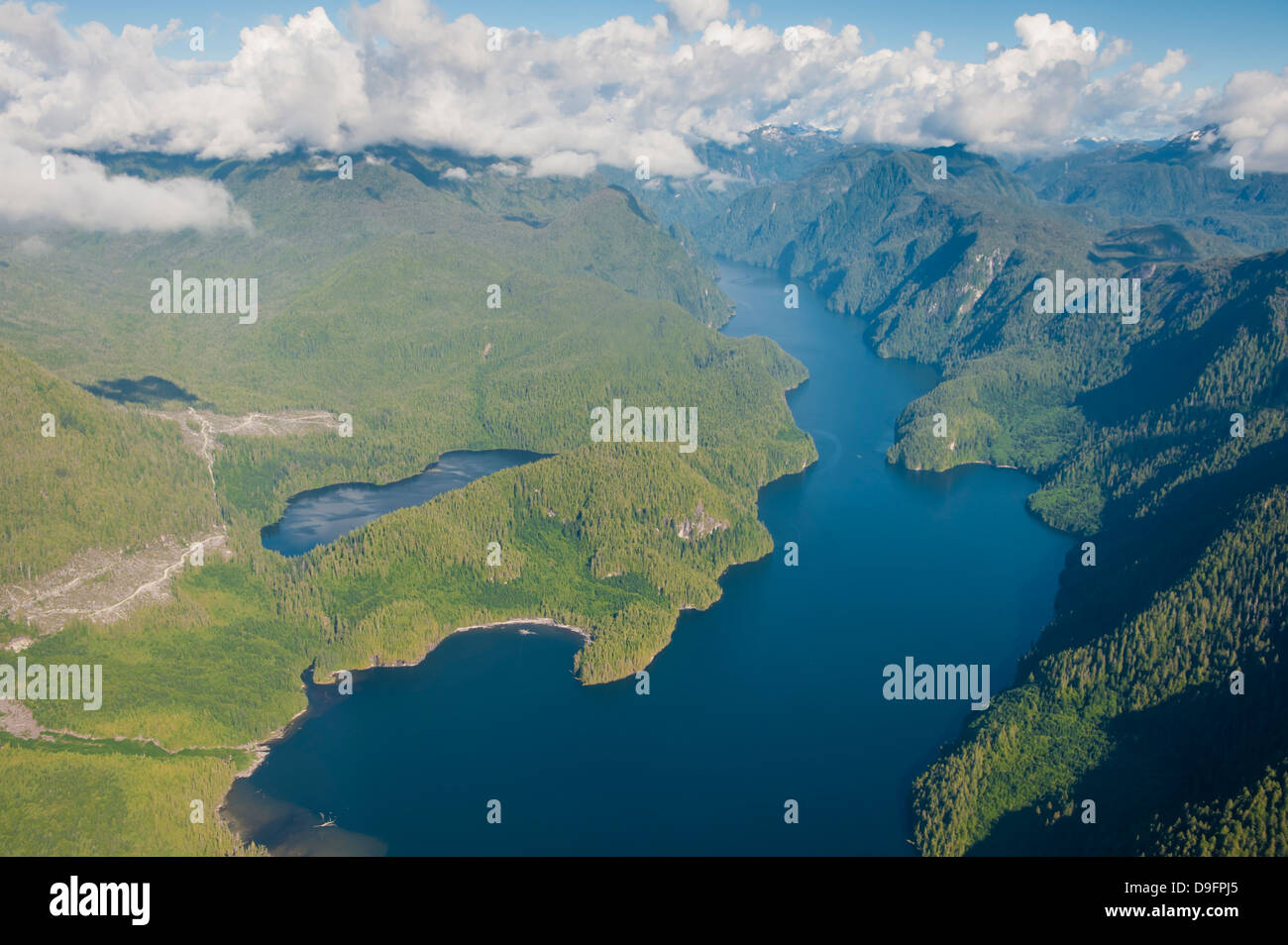 Great bear rainforest landscape hi-res stock photography and images - Alamy