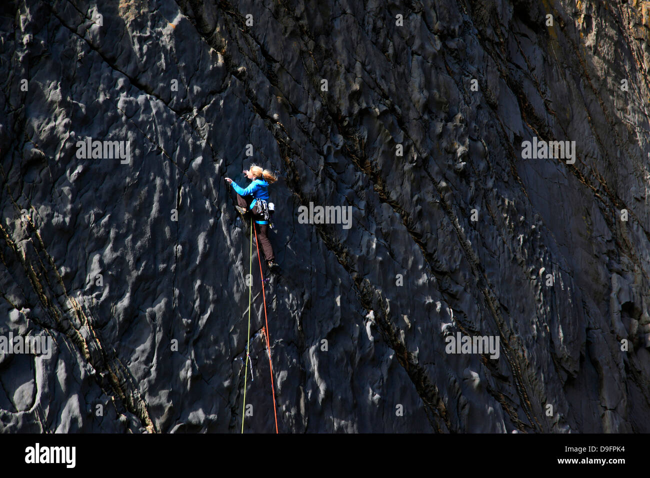 A climber scales cliffs at Lower Sharpnose Point, north Cornwall ...