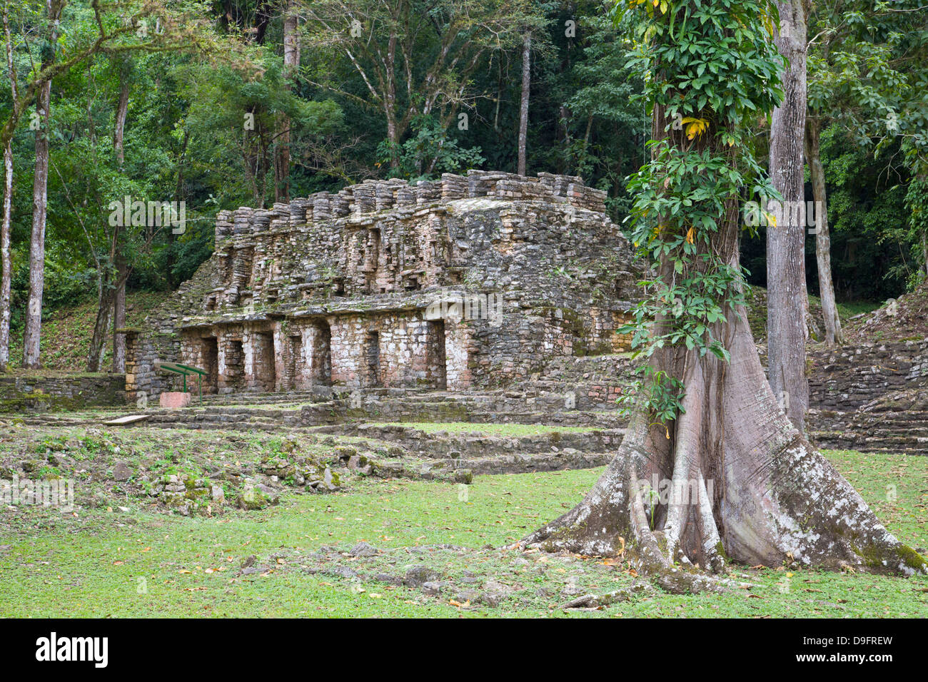 Yaxchilan Archaeological Zone, Chiapas, Mexico Stock Photo - Alamy