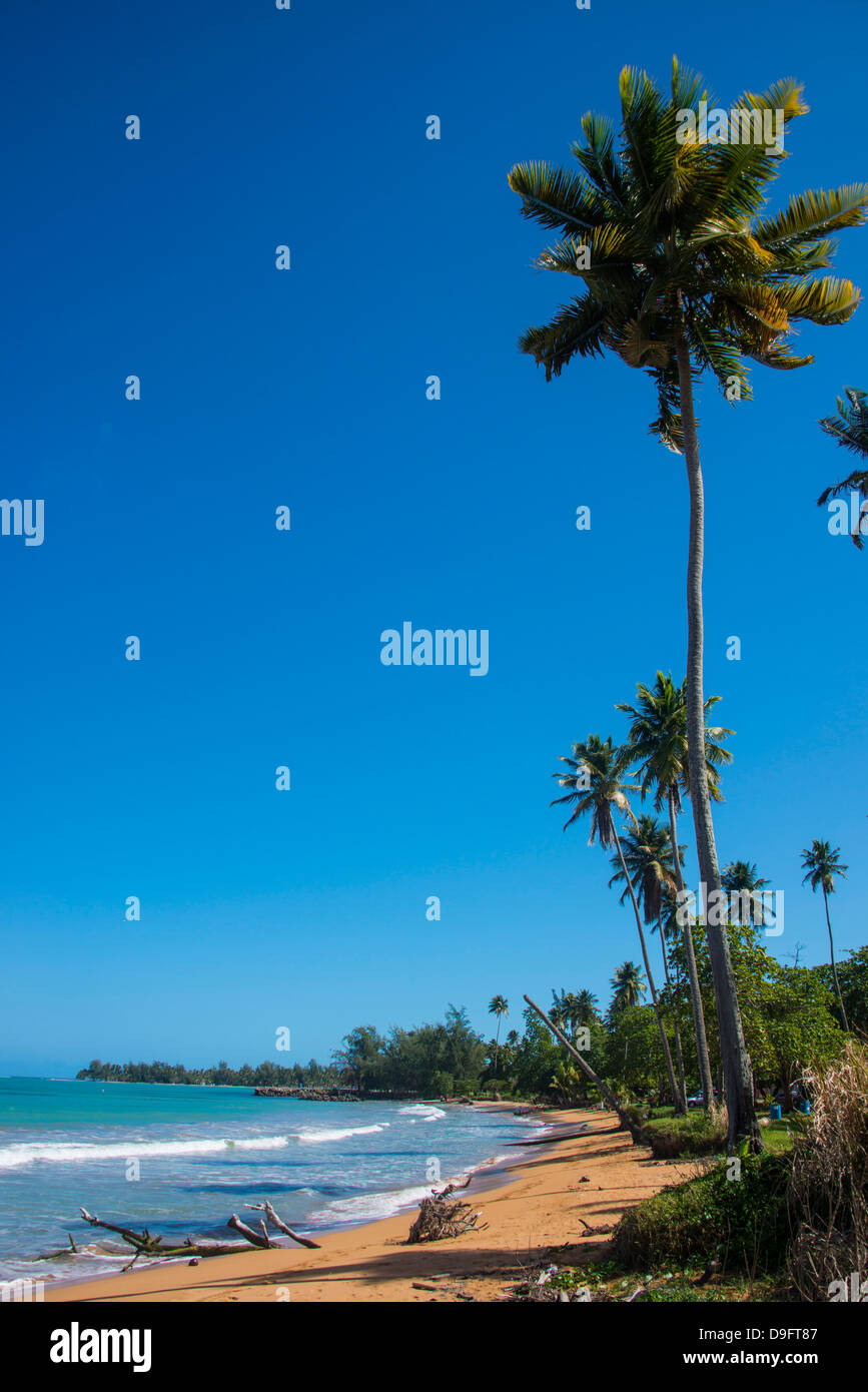 Coastline of puerto rico hi-res stock photography and images - Alamy