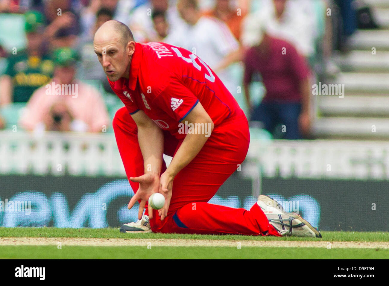James Tredwell High Resolution Stock Photography and Images - Alamy