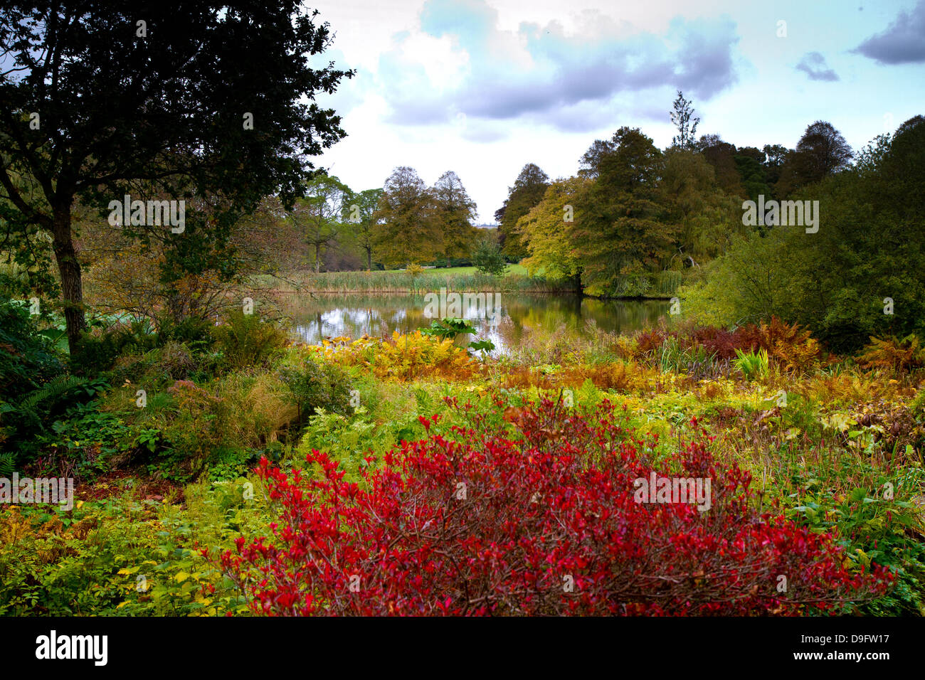 Beautiful country scene at autumn in England with a pond and rich ...