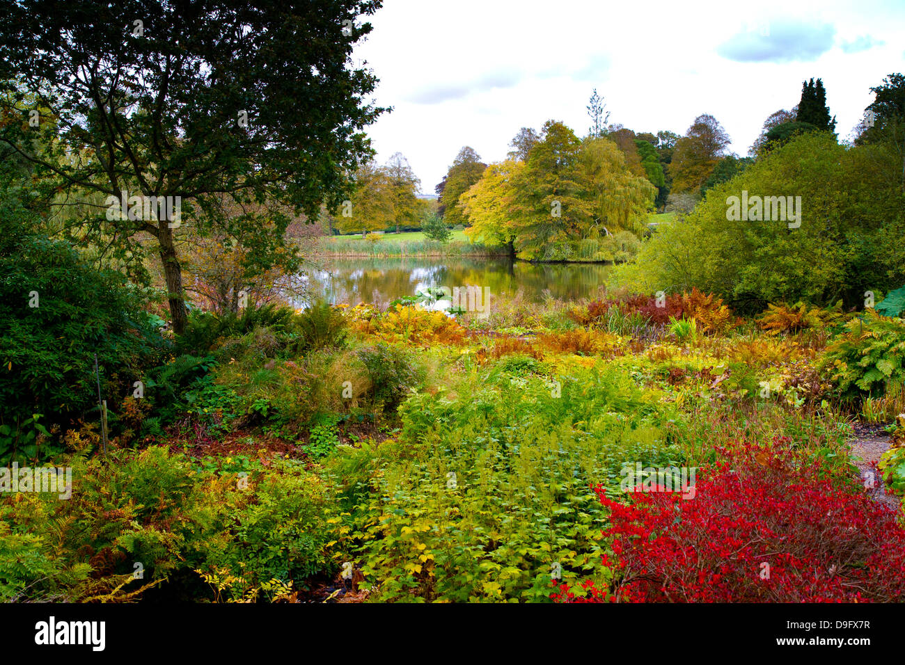Beautiful country scene at autumn in England with a pond and rich ...