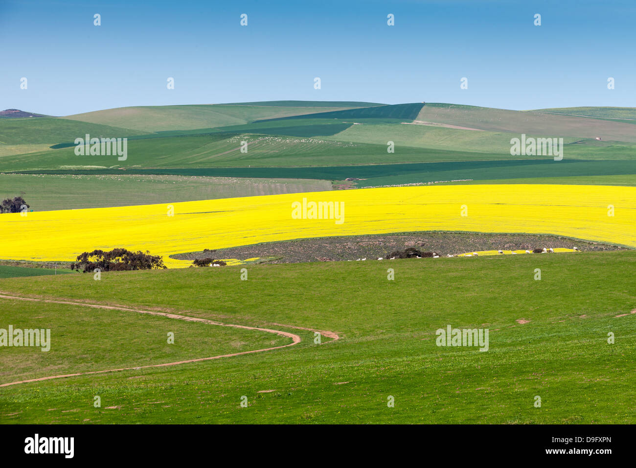 Beautiful Fields High Resolution Stock Photography and Images - Alamy