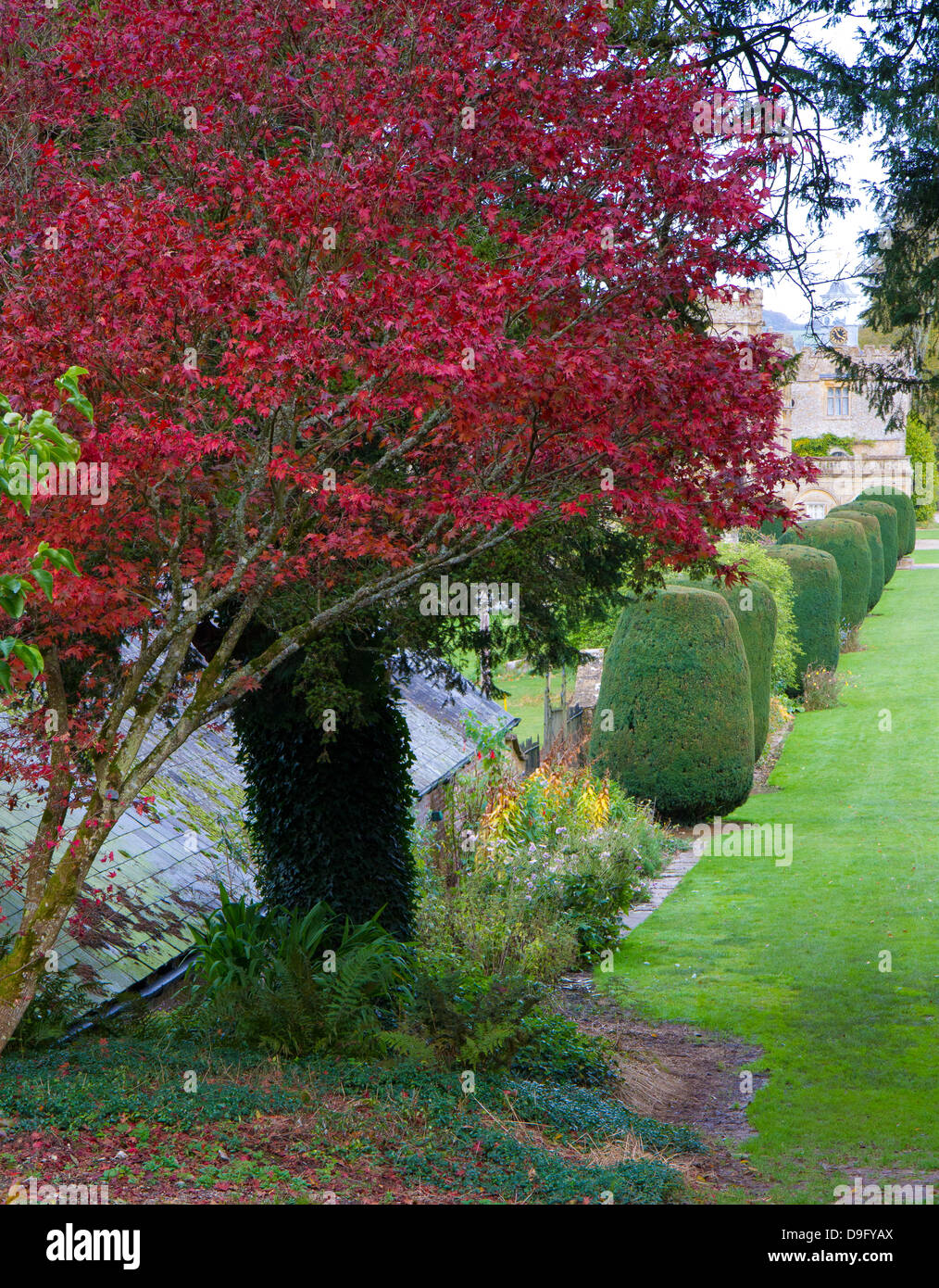 Row of bushes hi-res stock photography and images - Alamy