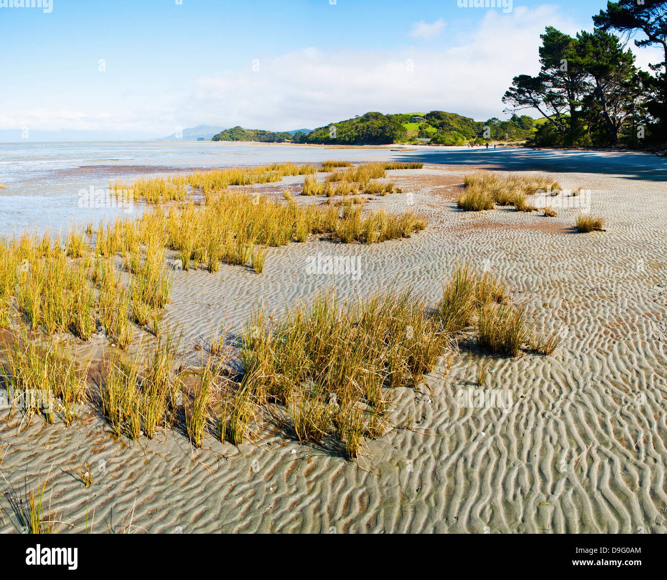 Farewell spit new zealand hi-res stock photography and images - Alamy