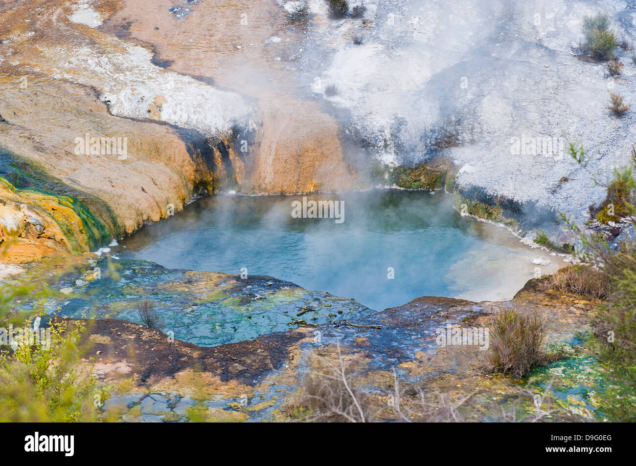 Orakei korako geyserland hi-res stock photography and images - Alamy