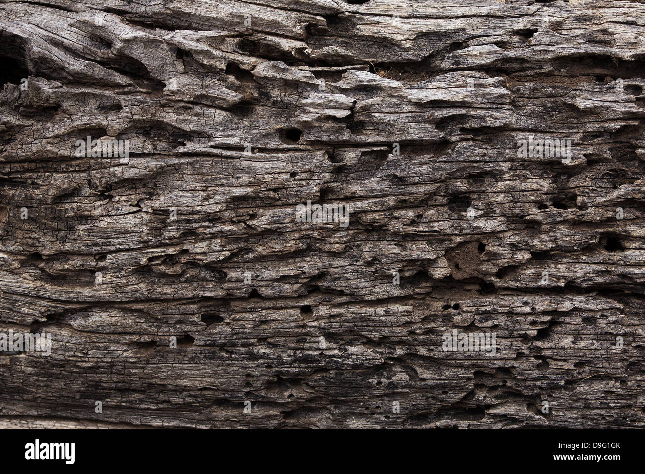 Piece of timber hi-res stock photography and images - Alamy