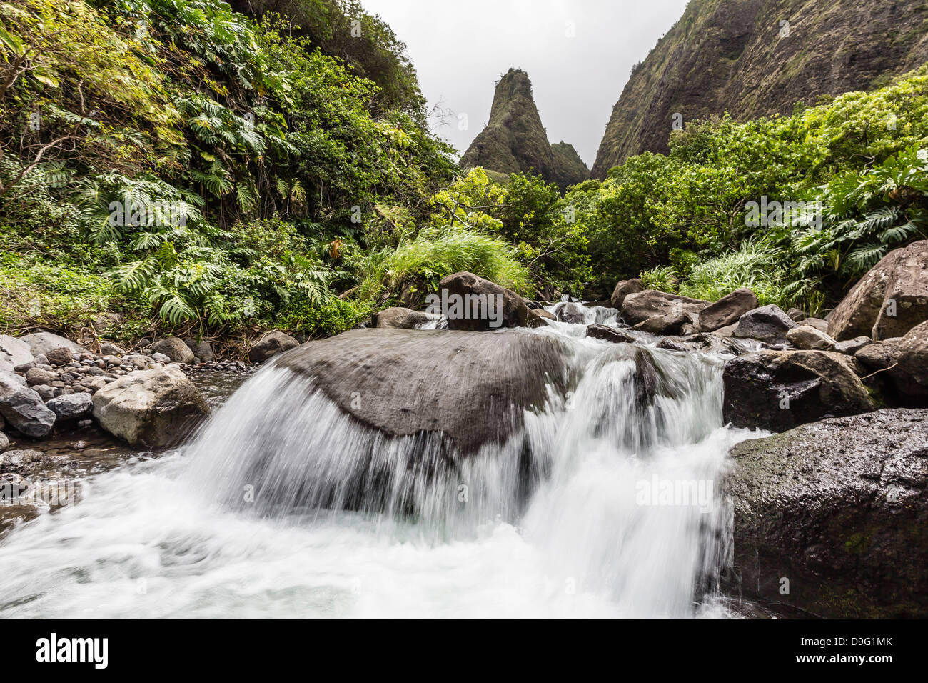 Iao Valley State Park