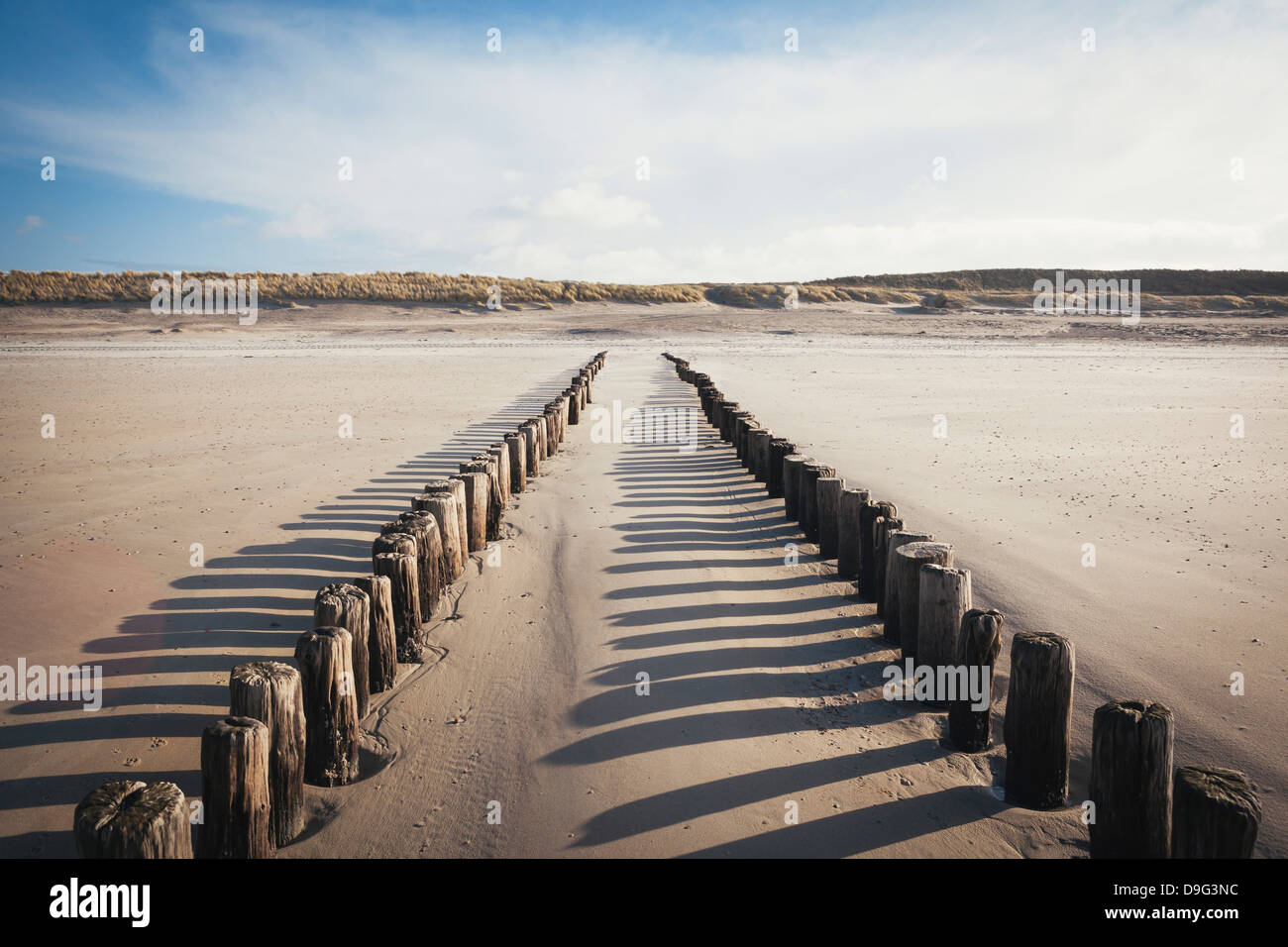 Wooden groynes hi-res stock photography and images - Alamy