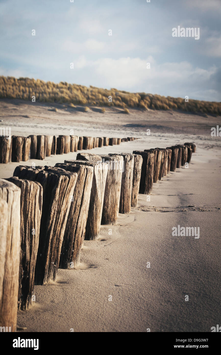 Wooden groynes hi-res stock photography and images - Alamy