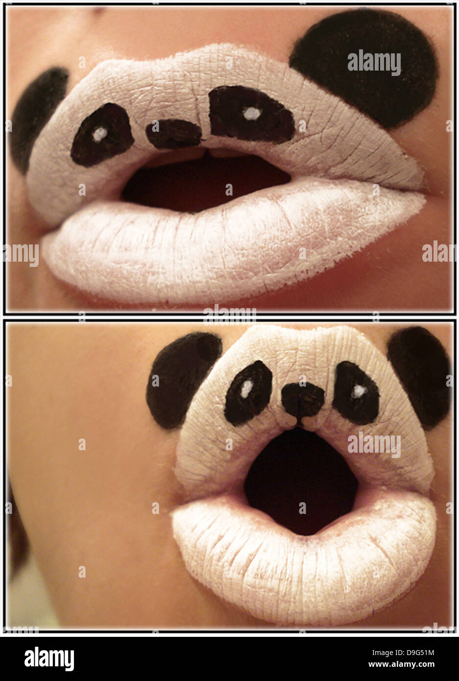 Panda Animal Lipsticks Artist Paige Thompson discovered some old ...