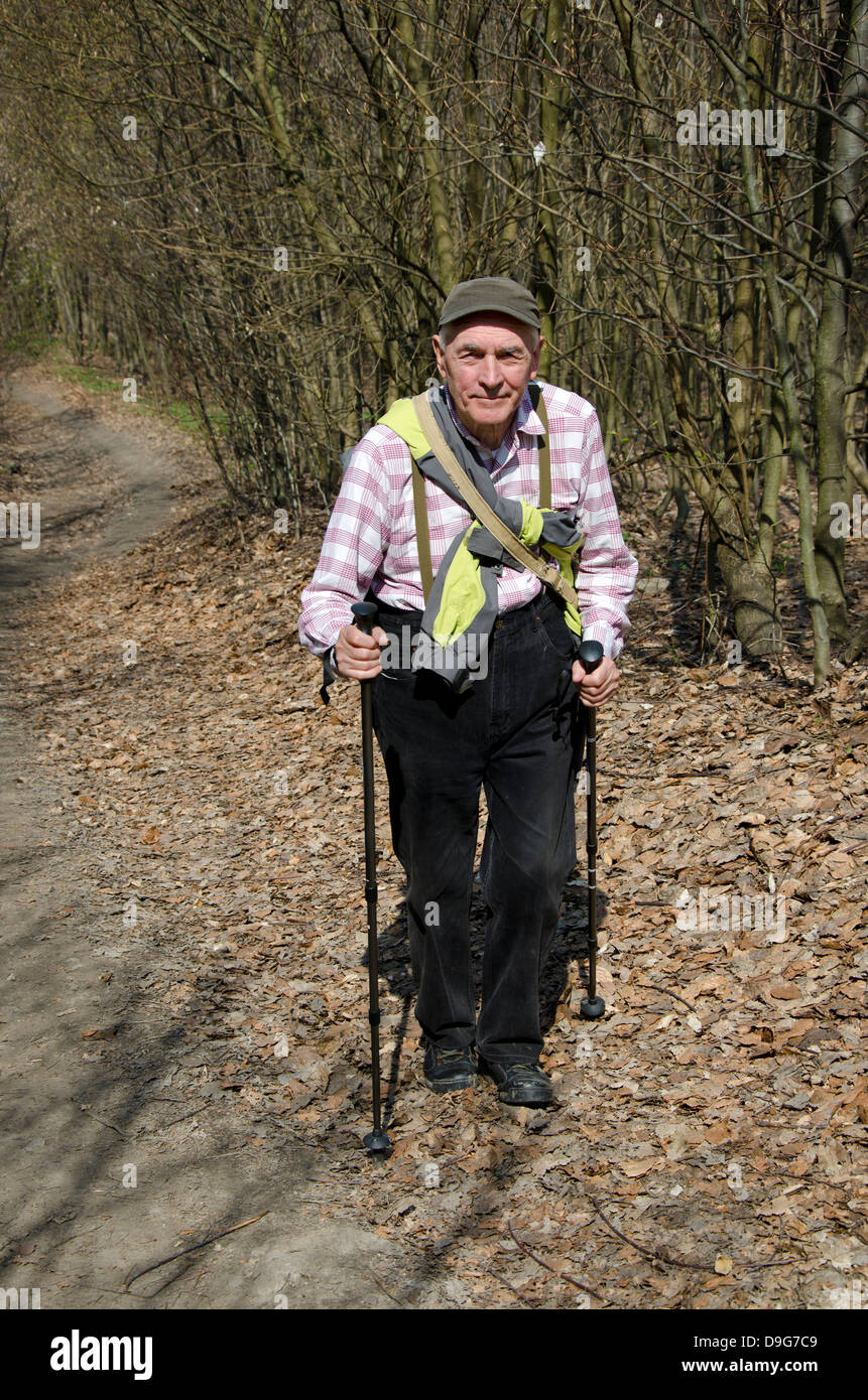 The old man nordic walking in the spring beech forest Stock Photo - Alamy