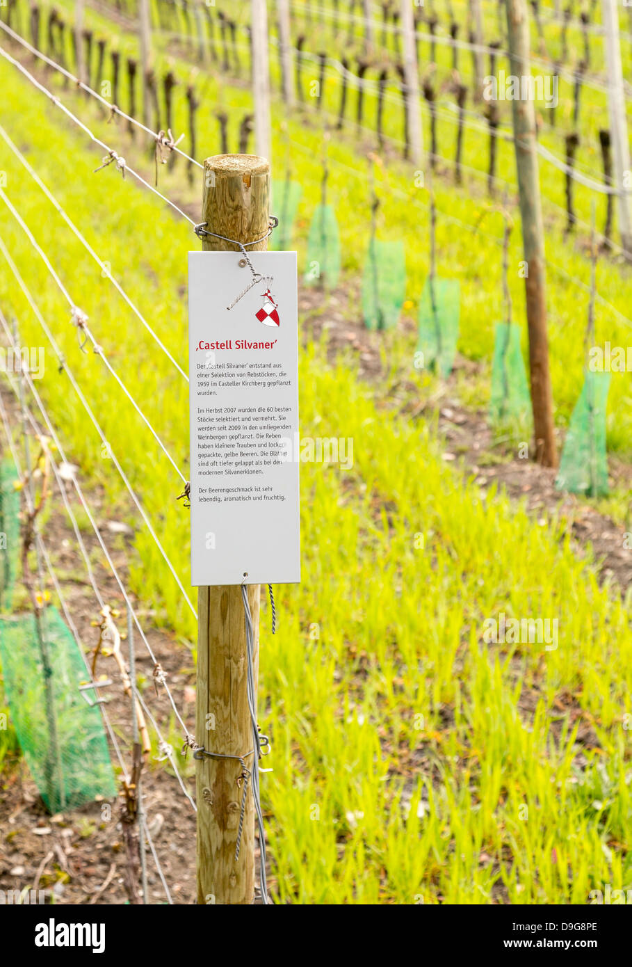 Grape varieties hi-res stock photography and images - Alamy