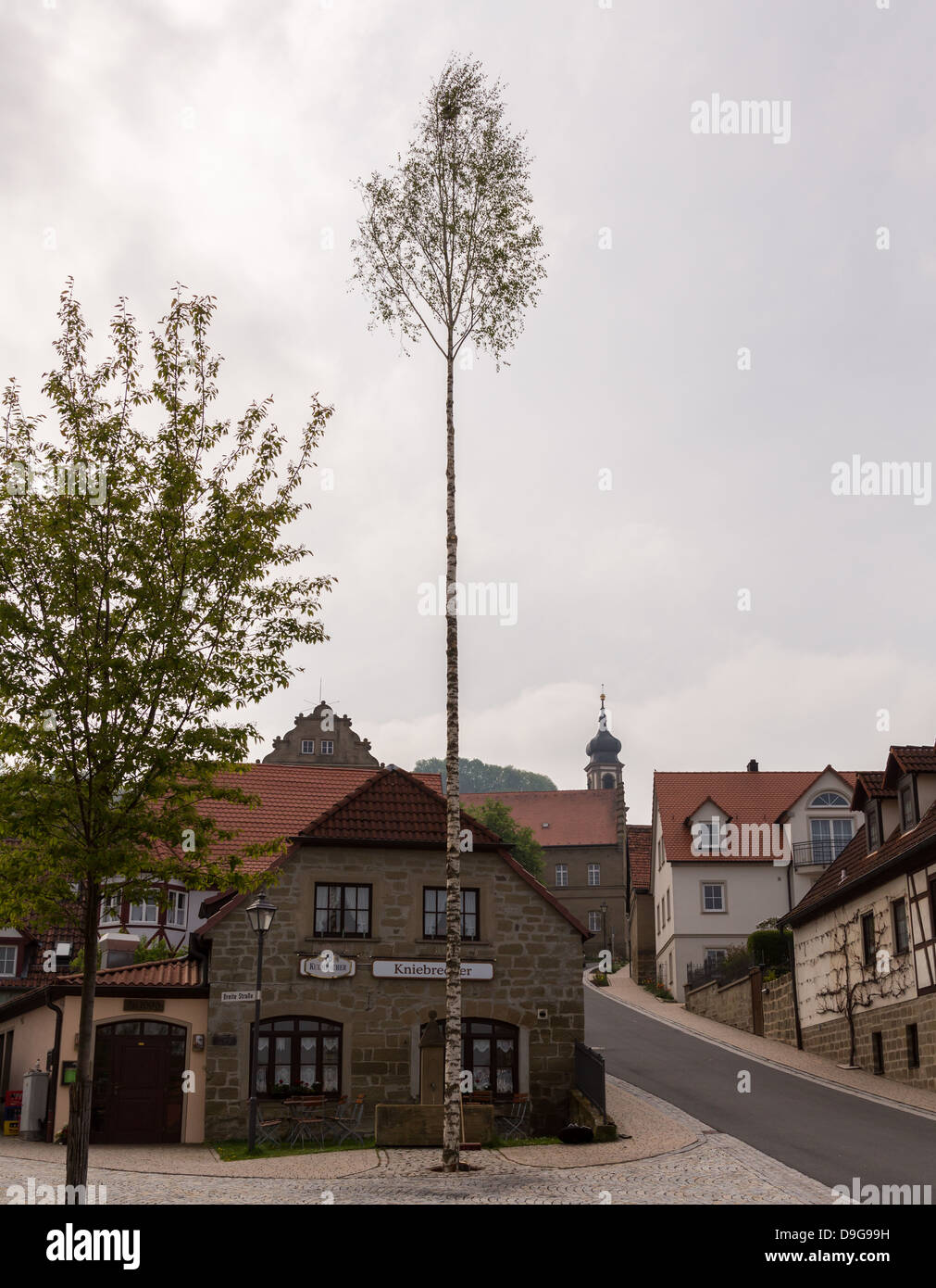 Bavarian village of Castell in Germany. The May Day tree is hoisted on ...