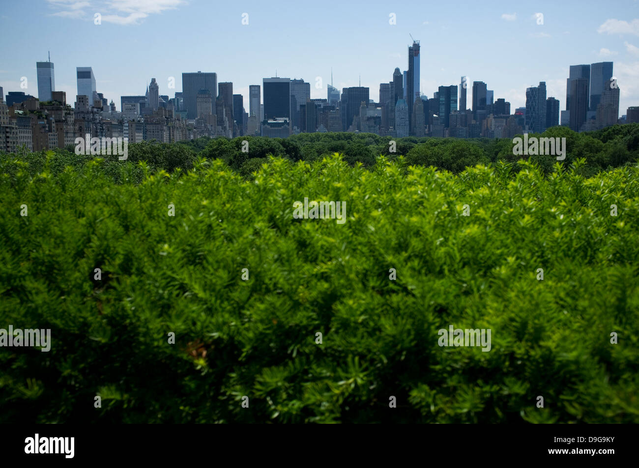 Metropolitan museum terrace hi-res stock photography and images - Alamy