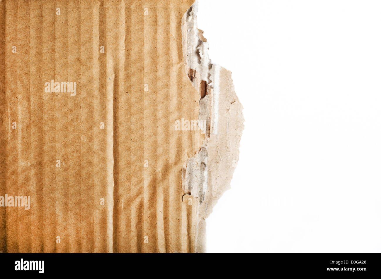 Cardboard Teared High Resolution Stock Photography and Images - Alamy