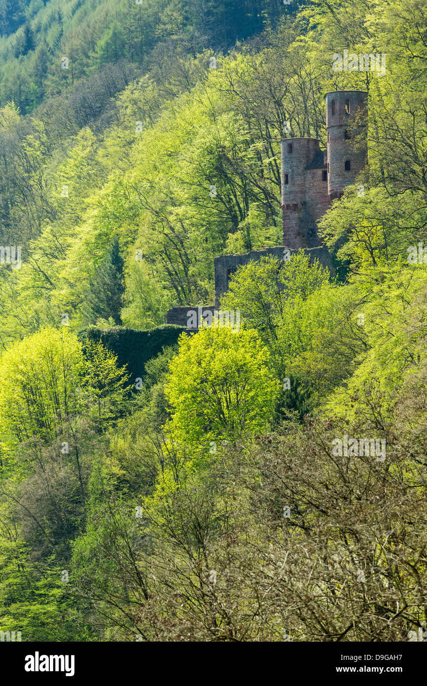Ruins of ancient Schwalbennest castle on hillside outside ...