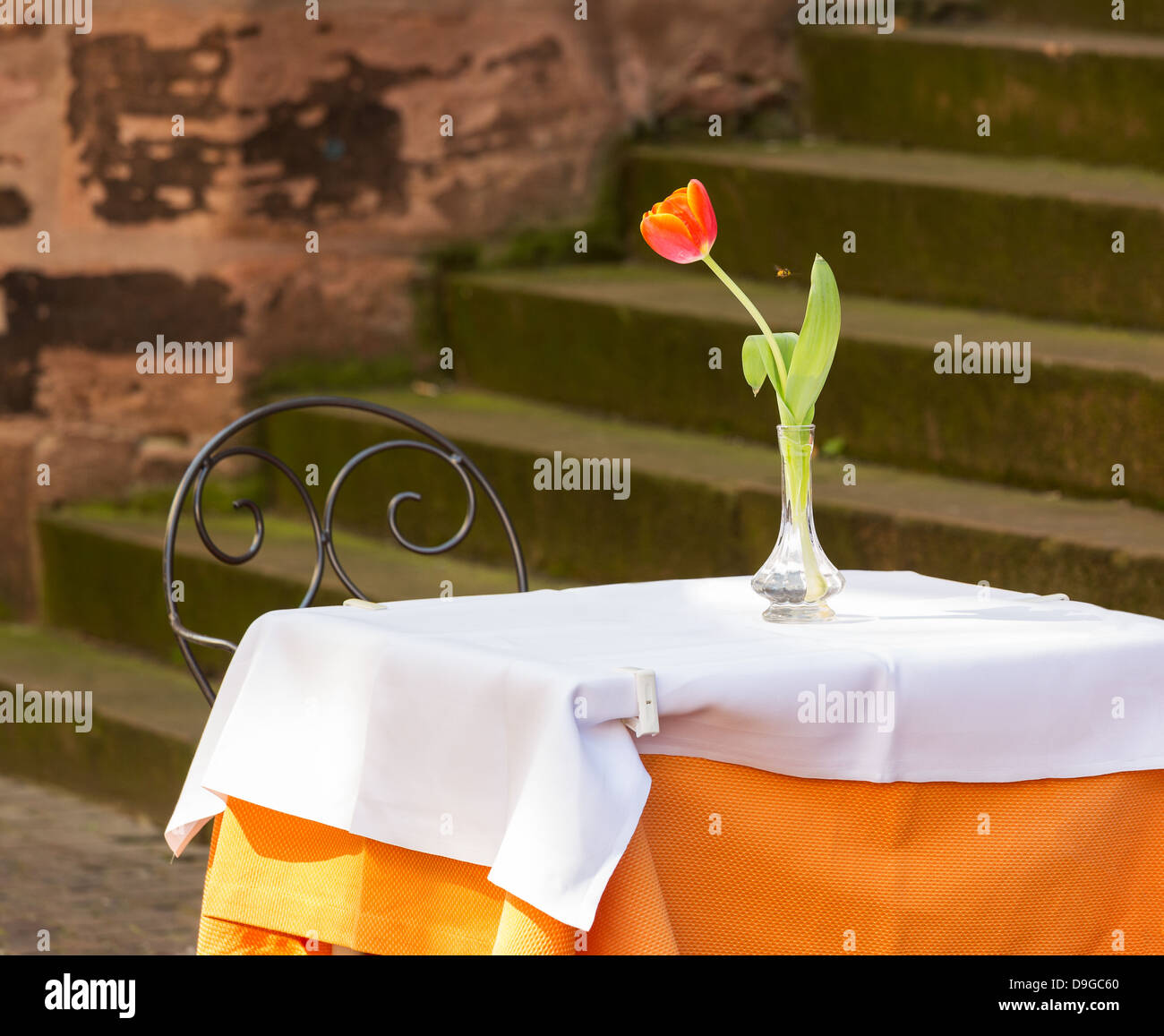 Steps cafe steps hi-res stock photography and images - Alamy
