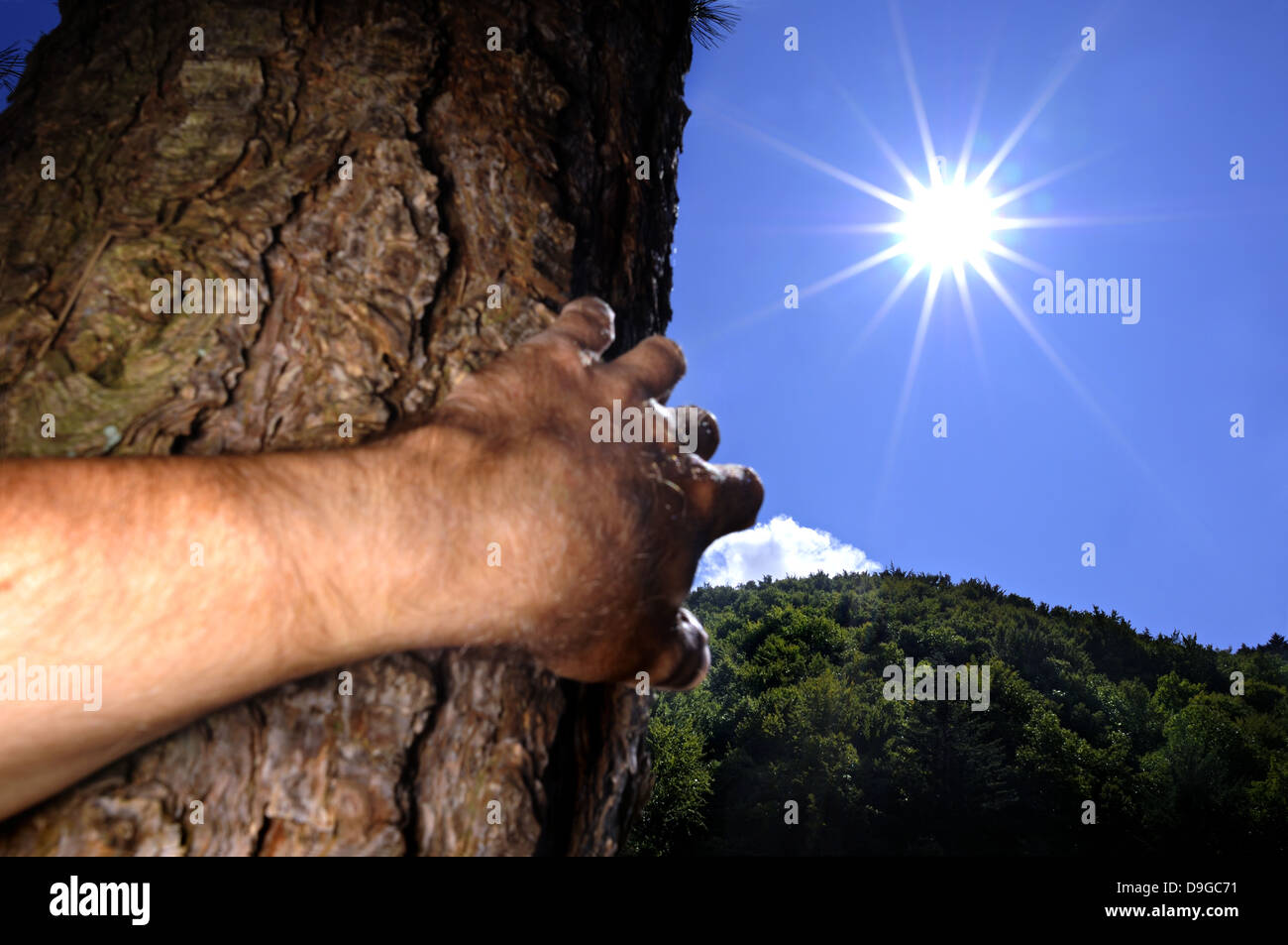 Hand and tree hi-res stock photography and images - Alamy