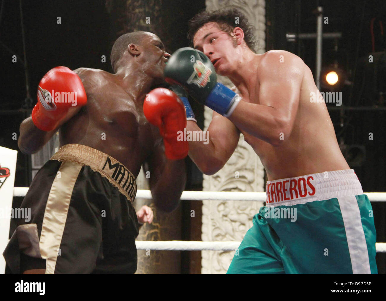 LA Matadors vs Mexico City Fighters LA Matadors vs Mexico City Fight ...