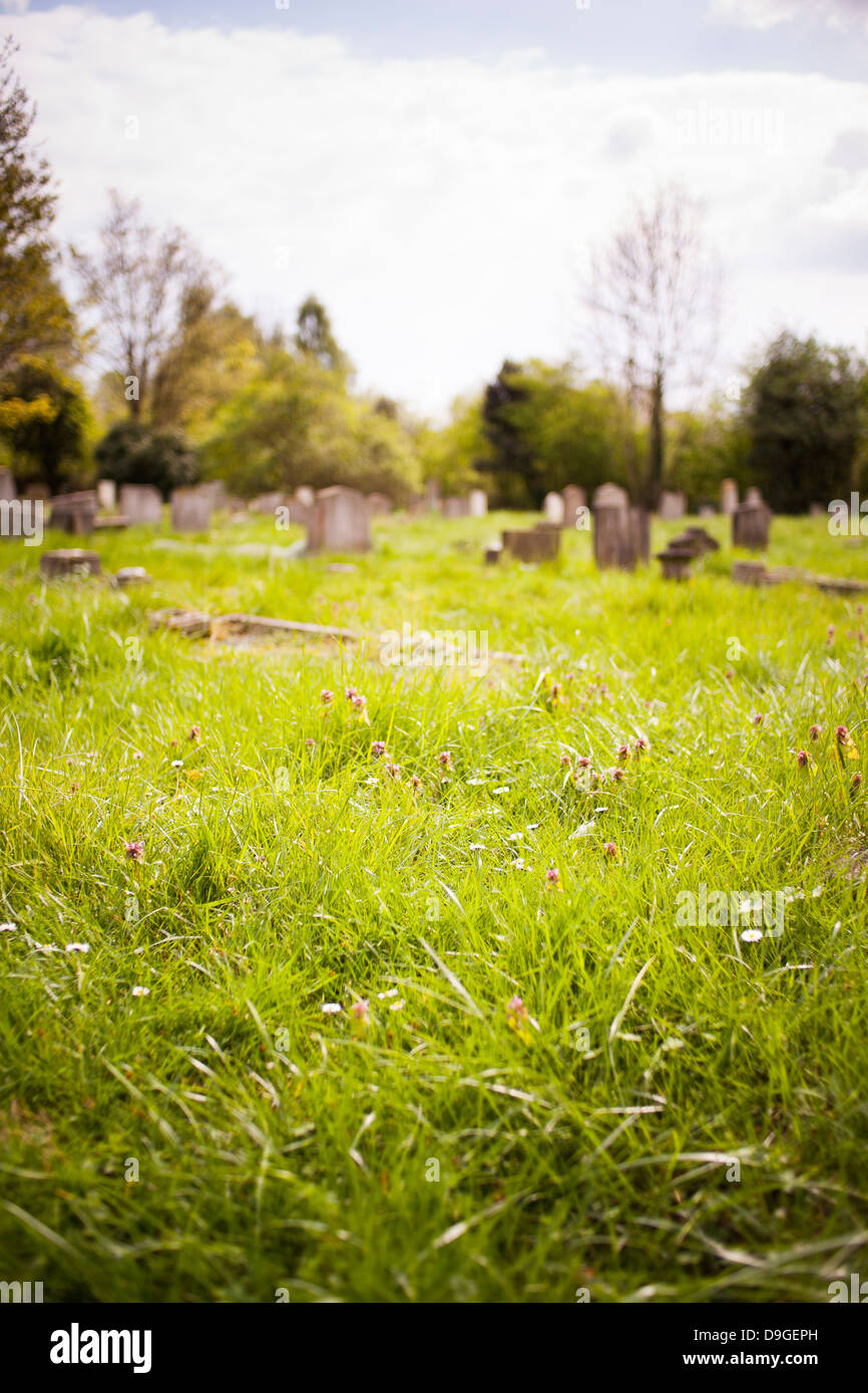Graves in grass hi-res stock photography and images - Alamy