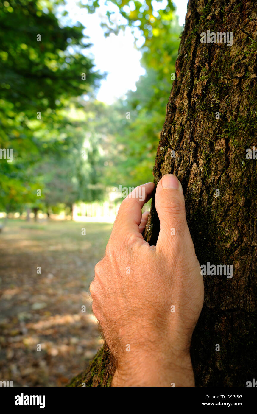 Hand tree hi-res stock photography and images - Alamy