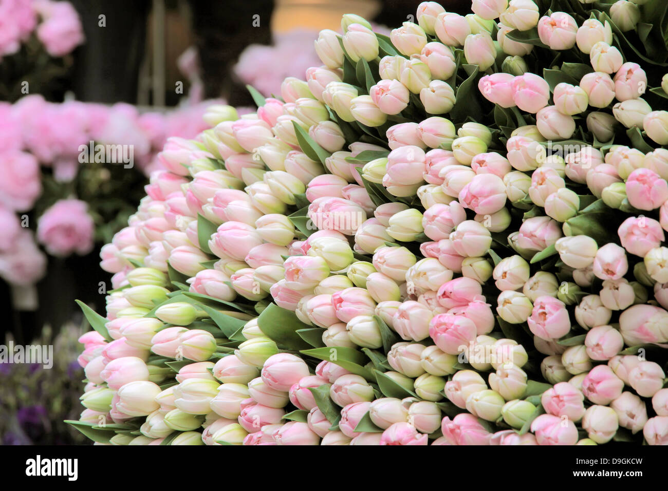 Big bunch of flowers hi-res stock photography and images - Alamy