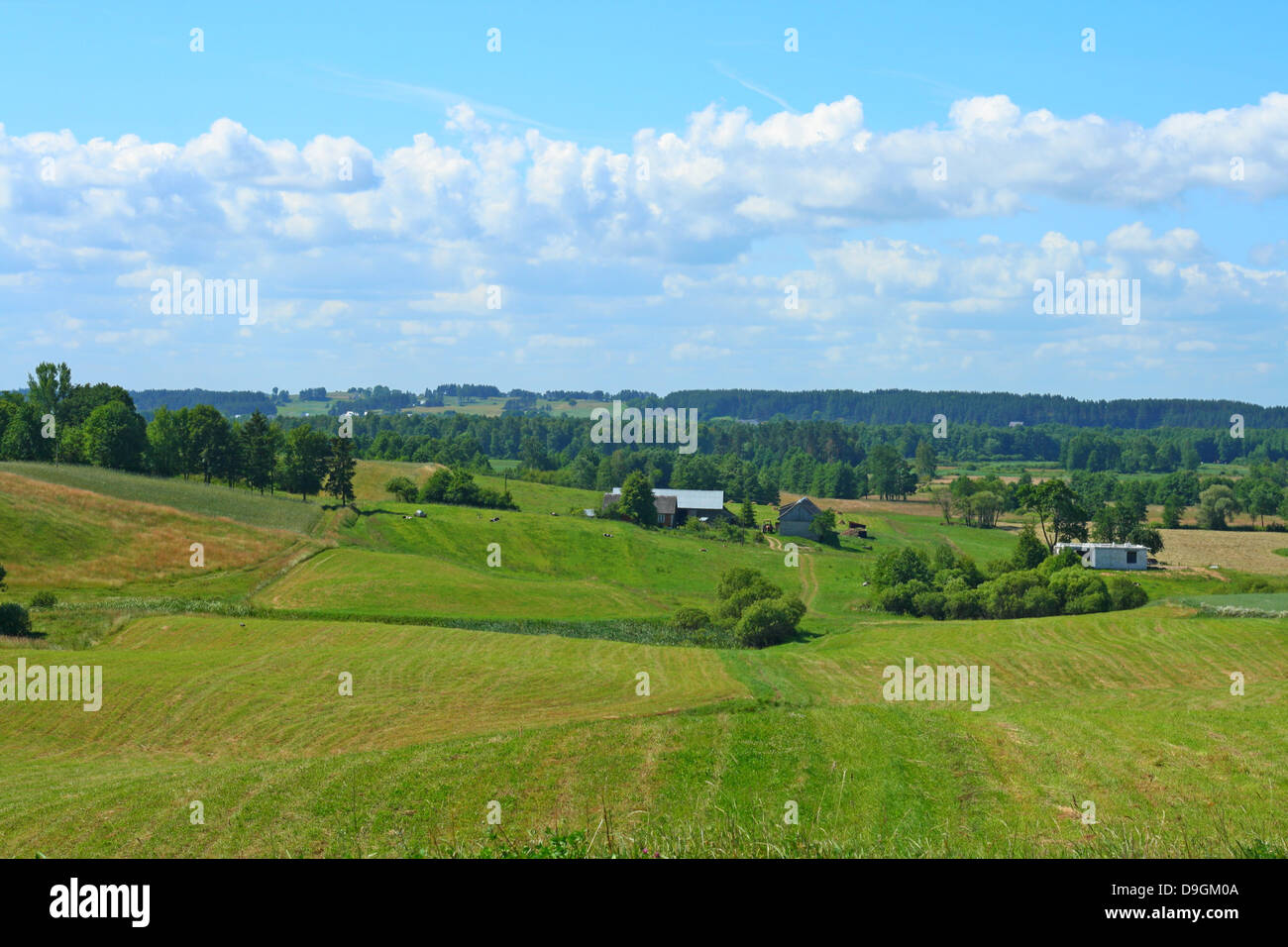 Beautiful summer landscape of green fields with bright blue sky Stock ...