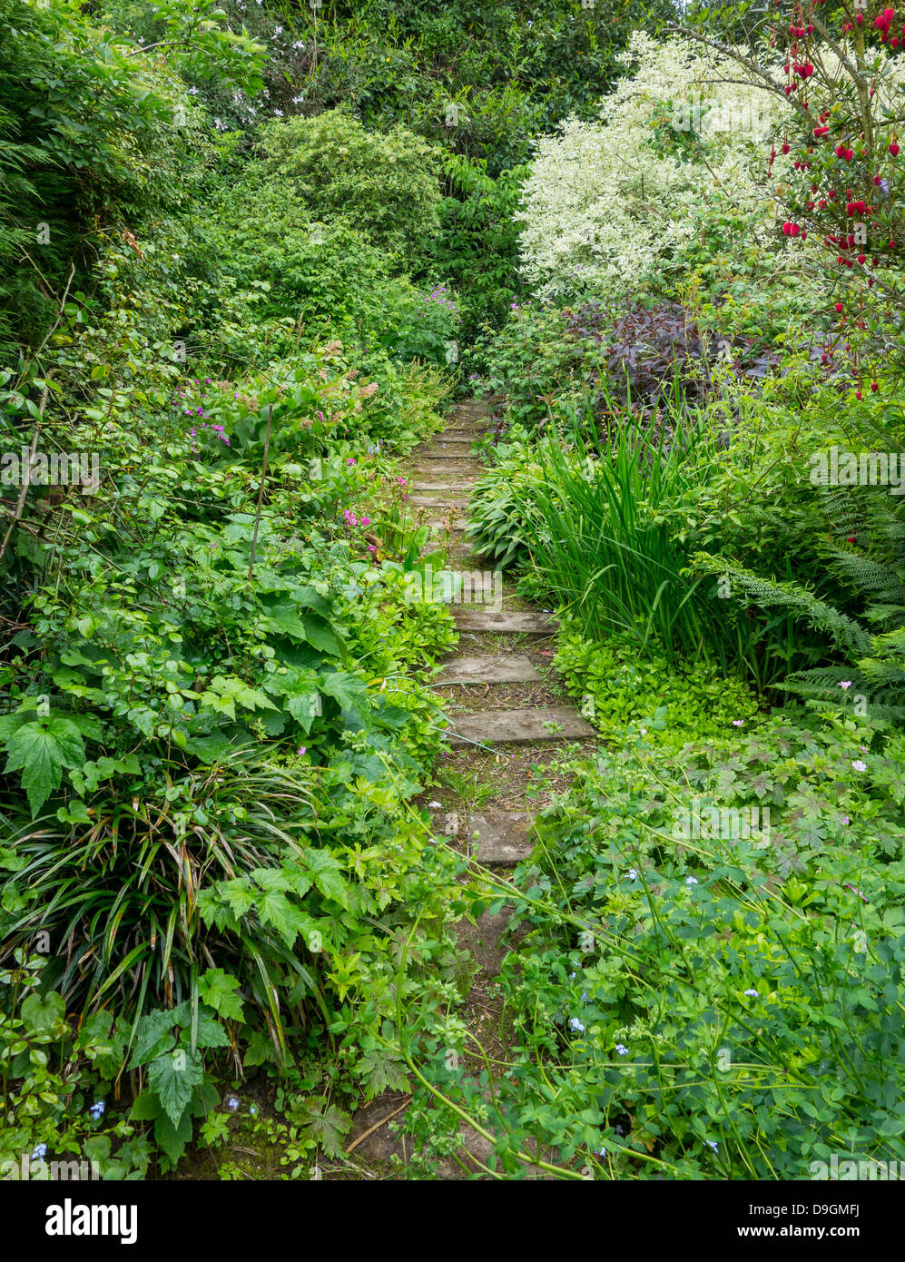 Cottage garden path hi-res stock photography and images - Alamy