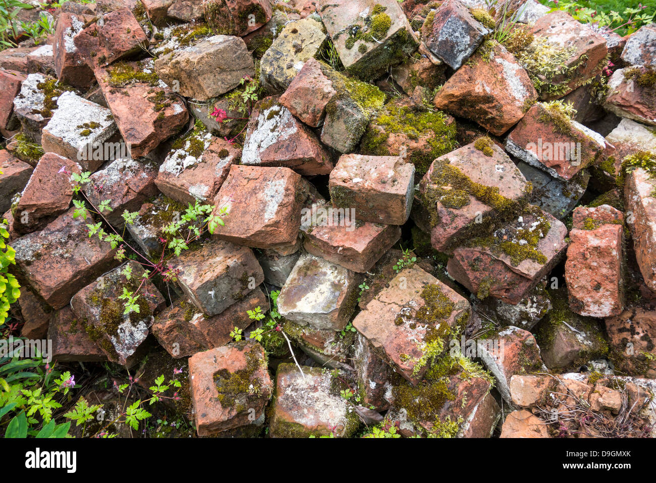 Old bricks hi-res stock photography and images - Alamy